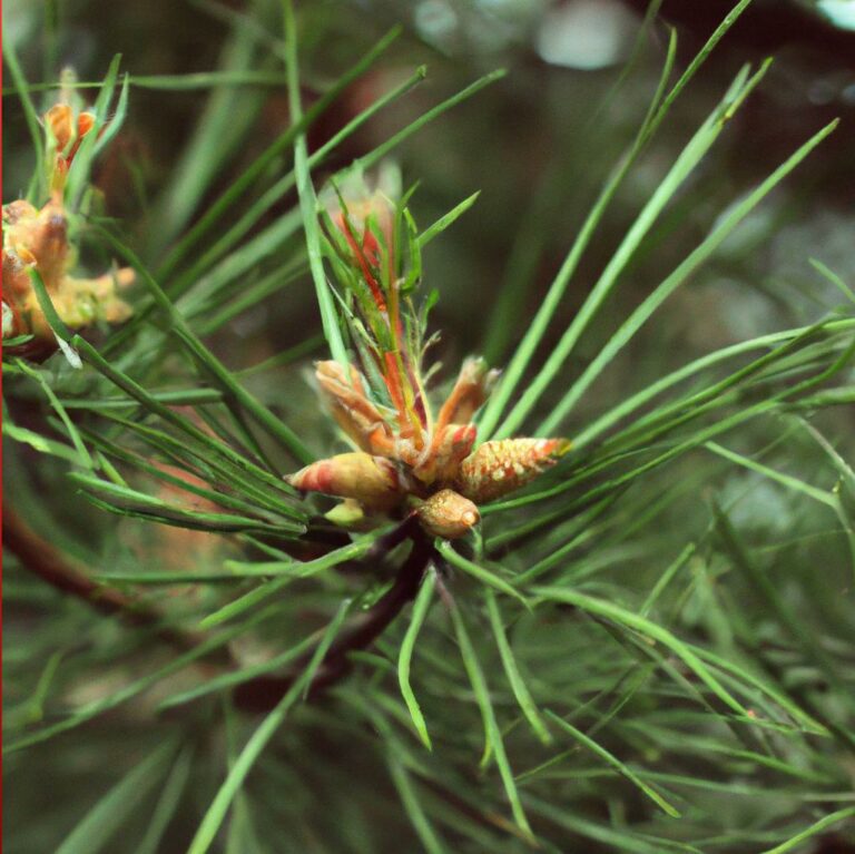 Wann Baum veredeln? - Pflanzenwissen pur