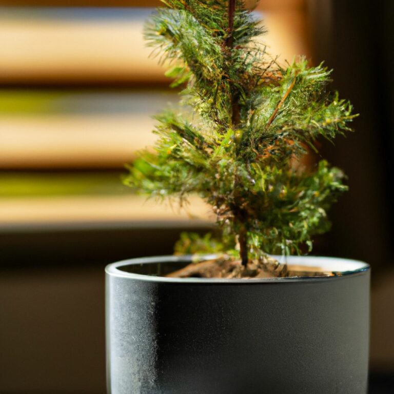 Wie viele Bäume pro Hektar Wald? - Pflanzenwissen pur