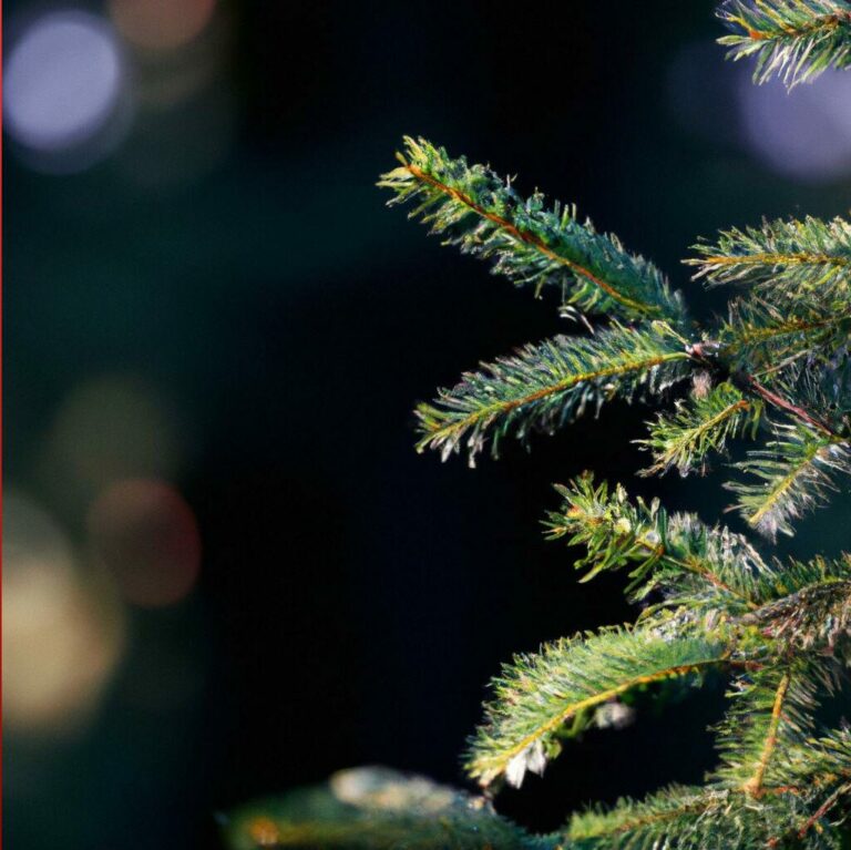 Welche Nadelbäume sind Tiefwurzler? - Pflanzenwissen pur